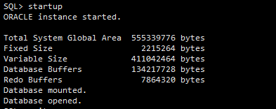 oracle启动时报错：ORA-00130: invalid listener address '(ADDRESS=(PROTOCOL=TCP ...